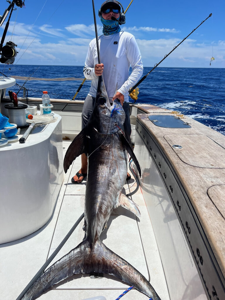 All About North Atlantic Swordfish – Facts About Florida Keys Broadbills